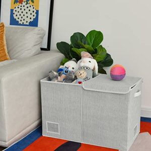 GRANNY SAYS Extra Large Toy Chest and Organizers, Storage Bins with Lids, Toy Storage Basket, Closet Organizer for Spare Beddings Storage, Large Storage Boxes with Lids, White/Black, 1-Pack