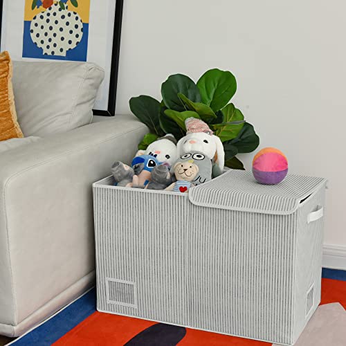 GRANNY SAYS Extra Large Toy Chest and Organizers, Storage Bins with Lids, Toy Storage Basket, Closet Organizer for Spare Beddings Storage, Large Storage Boxes with Lids, White/Black, 1-Pack