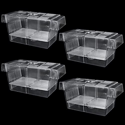 FVIEXE 4PCS Fish Breeder Box for Fish Tank, Acrylic Aquarium Fish Isolation Breeding Box with Suction Cups Acclimation Hatchery Incubator for Baby Fishes Guppy Shrimp Clownfish Betta, Medium Size