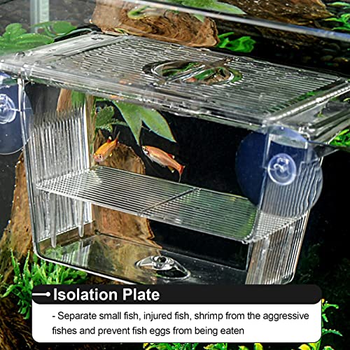 FVIEXE 4PCS Fish Breeder Box for Fish Tank, Acrylic Aquarium Fish Isolation Breeding Box with Suction Cups Acclimation Hatchery Incubator for Baby Fishes Guppy Shrimp Clownfish Betta, Medium Size