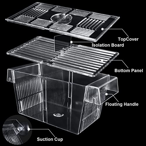 FVIEXE 4PCS Fish Breeder Box for Fish Tank, Acrylic Aquarium Fish Isolation Breeding Box with Suction Cups Acclimation Hatchery Incubator for Baby Fishes Guppy Shrimp Clownfish Betta, Medium Size