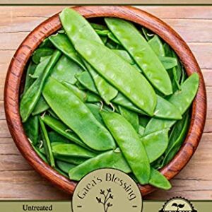 Gaea's Blessing Seeds - Snow Pea Seeds - Dwarf Sugar Grey - Non-GMO Seeds for Planting with Easy to Follow Instructions 94% Germination Rate (Pack of 1)