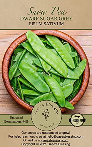 Gaea's Blessing Seeds - Snow Pea Seeds - Dwarf Sugar Grey - Non-GMO Seeds for Planting with Easy to Follow Instructions 94% Germination Rate (Pack of 1)