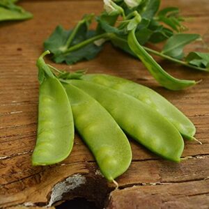 Gaea's Blessing Seeds - Snow Pea Seeds - Dwarf Sugar Grey - Non-GMO Seeds for Planting with Easy to Follow Instructions 94% Germination Rate (Pack of 1)