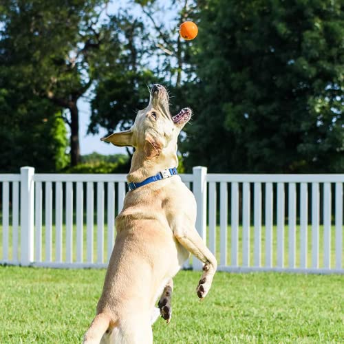 KAIKER Dog Balls Indestructible,Solid Rubber Bouncy for Dogs Aggressive Chewers Large Breed,Non-Toxic&Floating&High Elasticity,Durable Fetch Ball Medium to Chew,Play and Training.