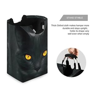 xigua Scary Black Cat Laundry Hamper, Large Laundry Baskets Foldable Clothes Tote with Handles Storage Bag for Family Dormitory Laundry Bathroom Closet Kids Room