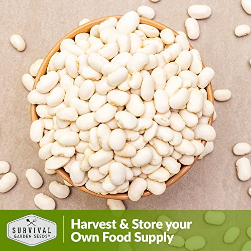 Survival Garden Seeds - Henderson Lima Bean Seed for Planting - Packet with Instructions to Plant and Grow Tender White Butter Beans in Your Home Vegetable Garden - Non-GMO Heirloom Variety