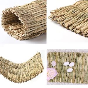 MIUPOO Pet Grass Woven Bed Mat,Small Animal Grass Mat Bedding,Pet Chew Grass Mat Toys Bed for Guinea Pig,Parrot,Rabbit,Hamster,Cat Dog and Small Animal,2 Pieces.