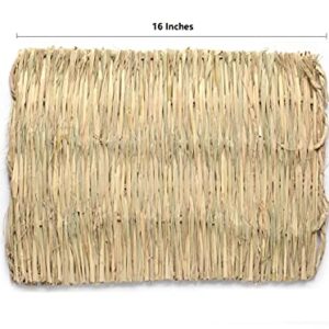 MIUPOO Pet Grass Woven Bed Mat,Small Animal Grass Mat Bedding,Pet Chew Grass Mat Toys Bed for Guinea Pig,Parrot,Rabbit,Hamster,Cat Dog and Small Animal,2 Pieces.