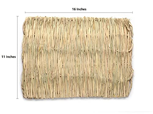 MIUPOO Pet Grass Woven Bed Mat,Small Animal Grass Mat Bedding,Pet Chew Grass Mat Toys Bed for Guinea Pig,Parrot,Rabbit,Hamster,Cat Dog and Small Animal,2 Pieces.