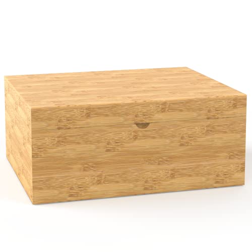 ALIVE CENTRAL Bamboo Wooden Box with Hinged Lid - Natural Keepsake Wood Box for Storage with Magnetic Lid - 10x8x4 inches