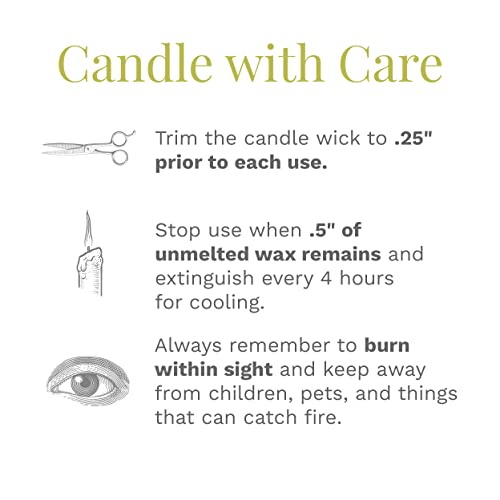 Candle-lite Premium Bamboo Santal Scent, 14 oz. 3-Wick Aromatherapy Candle with up to 45 Hours of Burn Time, Green