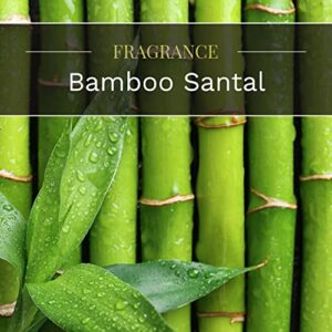 Candle-lite Premium Bamboo Santal Scent, 14 oz. 3-Wick Aromatherapy Candle with up to 45 Hours of Burn Time, Green