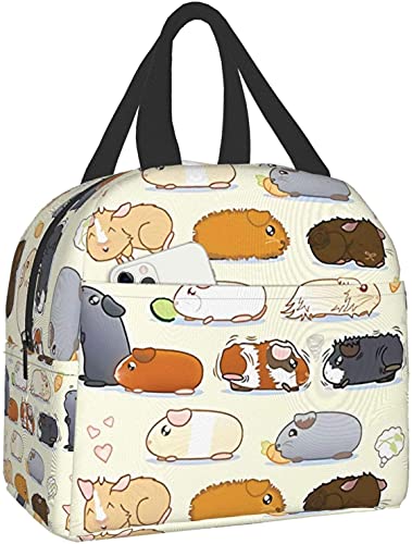 Xuhua Guinea Pig Parade Lunch Bag Boxes Tote Insulated Reusable,Lunch Bag Lunchbox Durable Waterproof Zipper Hangbag Portable for Boys Girls School Supplies