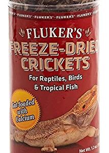 Fluker's Freeze Dried Crickets Reptile Food 1.2oz - Includes Attached DBDPet Pro-Tip Guide