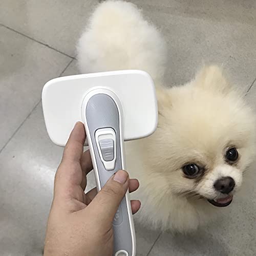 AIITLE Upgraded Self Cleaning Slicker Brush,Dog Brush & Cat Brush with Massage Particles, Remove Loose Hair, Fur, Tangled Hair, Knots for Small Medium Sensitive Dogs, Cats, Rabbit White M