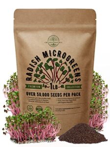 radish sprouting & microgreens seeds - non-gmo, heirloom sprout seeds kit in bulk 1lb resealable bag for planting & growing microgreens in soil, coconut coir, garden, aerogarden & hydroponic system.