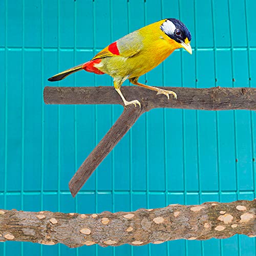 4 PCS Bird Perch Natural Wood Stands for Parrots Cage Accessories Standing Branches for Parrots Gnawing Chewing Wooden Rod Perches Bifurcation Nature Vines for Budgies 25cm Bird Toy Cage Decoration