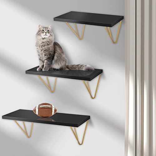 DCIGNA Floating Shelves Wall Mounted Set of 3, White Floating Shelves with Triangle Gold Bracket, Hanging Wall Shelves for Home Decor, Living Room, Bedroom, Kitchen, Bathroom etc. (Black)