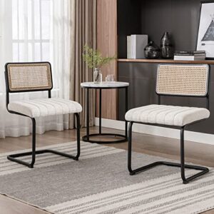 ONEVOG Rattan Dining Chair with Cane Backrest and Metal Frame, Set of 2, Indoor Furniture for Kitchen, Living Room, Bedroom, Guest Room, Restaurant(Beige)