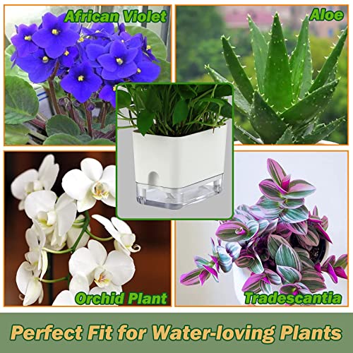 4 Pack Self Watering Pots for Indoor Plants, Self-Watering Planters Box Transparent for Devil's Ivy, Spider Plant, Orchid for Home & Office. African Violet Pot for Outdoor Plants (Rectangular,7”)