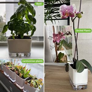 4 Pack Self Watering Pots for Indoor Plants, Self-Watering Planters Box Transparent for Devil's Ivy, Spider Plant, Orchid for Home & Office. African Violet Pot for Outdoor Plants (Rectangular,7”)