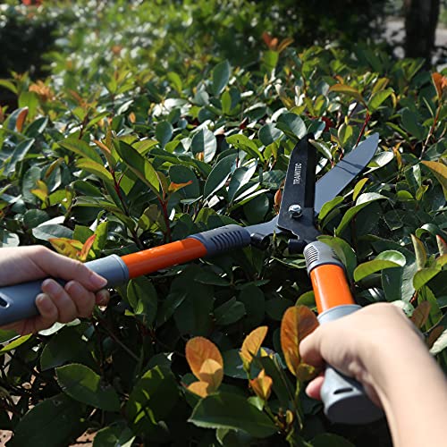 TRAMITEC Garden Hedge Shears, Manual Hedge Clippers for Shaping Shrubs and Trimming Bushes. Hedge Clippers & Shears made with Durable Carbon Steel Blades, Shock-Absorbing Bumpers and Comfort Grips.