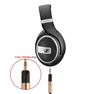 weishan HD599 SE Coiled Audio Cable Replacement for Sennheiser HD598, HD599, HD569, HD579, HD518 Headphones, 2.5mm to 3.5mm Extension Aux Cord Wire 5ft to 16ft