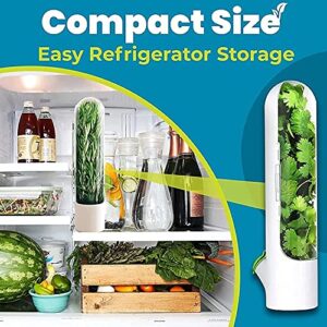 YXYYW Herb Saver Best Keeper for Freshest Produce, Lasting Refrigerator Herb Keeper, Containers, Clear Herb Savor Pod, Herb Storage Container for Cilantro Mint Asparagus (2PCS)