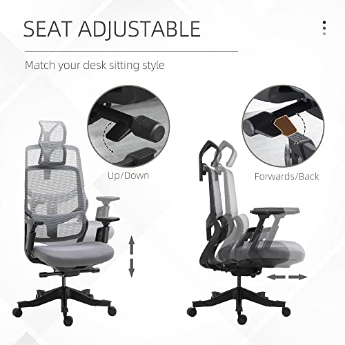 Vinsetto High Back Ergonomic Mesh Office Chair with Adjustable Height, Armrests, Lumbar Support and Headrest, Grey/Black