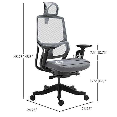 Vinsetto High Back Ergonomic Mesh Office Chair with Adjustable Height, Armrests, Lumbar Support and Headrest, Grey/Black