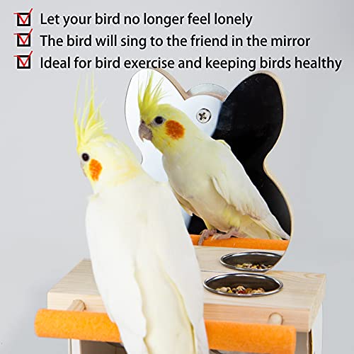 PANQIAGU Parrot Mirror Toy with Stainless Steel Feeding Cups Bird Wooden Frames with Cage Perch for Small Parakeets, Cockatiels, Conures, Finches,Budgie,Macaws, Parrots, Love Birds