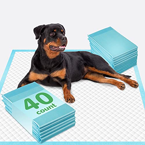 Deep Dear Large Dog Pads 30"x26", Thicker Pet Training and Puppy Pads, Super Absorbent Pee Pads for Dogs, Leak-Proof Dog Potty Training Pads for Puppies, Cats, Rabbits, Pet Pee Pads 40 Count