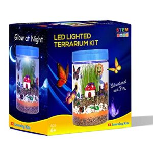 EZ Learning Kits BioResearch LED Lighted Terrarium Kit - Premium Quality, Crystal-Clear See-Through jar, for a Scientific Mind, 1 Count (Pack of 1)