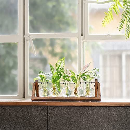 Mkono Desktop Plant Terrarium Glass Vase, Farmhouse Plant Propagation Jars with Wooden Stand Flower Bud Glass Planter for Propagating Indoor Hydroponic Plants Home Office Desk Decor, 5 Bulb Vase