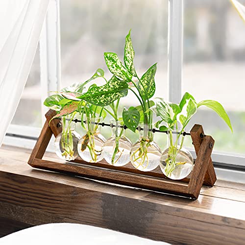 Mkono Desktop Plant Terrarium Glass Vase, Farmhouse Plant Propagation Jars with Wooden Stand Flower Bud Glass Planter for Propagating Indoor Hydroponic Plants Home Office Desk Decor, 5 Bulb Vase