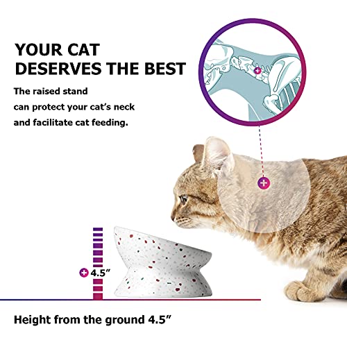 Y YHY Elevated Cat Bowls Anti-Vomiting, Tilted Raised Cat Bowl, Ceramic Cat Bowls for Flat Faced Cats, Small Dogs, Protect Pets Spine, Dishwasher and Microwave Safe