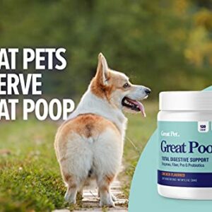 Great Poop Probiotics for Dogs - A Fiber for Dogs Supplement with Dog Probiotics and Digestive Enzymes for a Healthy Gut, Firm Stool & Diarrhea Relief - Chicken Flavored Pet Soft Chews with Prebiotics