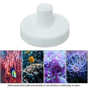 WHYHKJ 12pcs Ceramic Coralline Coral Frag Plugs Coral Frag Stand Fish Tank Supplies, White