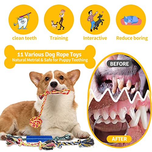 Zeaxuie 20 Pack Valued Puppy Toys for Teething Small Dogs - Puppy Chew Toys with Rope Toys, Dog Treat Balls & Dog Squeak Dog Chew Toys