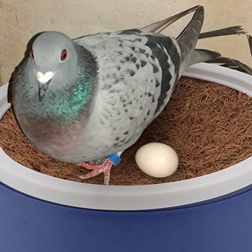 YARDWE Hamster Accessories Bird Eggs 2 Sets Pigeon Nesting Bowl Plastic Bird Bowls Bird Breeding Hatching Box with Mat Pad for Quails Pigeons Small Birds Pigeon Hatching Parakeet