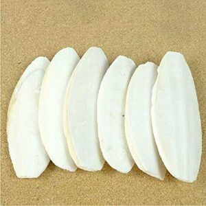 Mivofun 2PCS Natural Cuttlebone for Tortoise Turtles Snails Birds Cockatiels Parakeets Budgies Reptiles Small Animals(4"-4.5",Small)