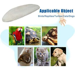 Mivofun 2PCS Natural Cuttlebone for Tortoise Turtles Snails Birds Cockatiels Parakeets Budgies Reptiles Small Animals(4"-4.5",Small)