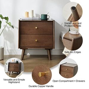 ESPSENT Modern 2-Drawer Nightstand Bedside Table Solid Wood Sofa Side End Table Bedroom Night Stand with Legs