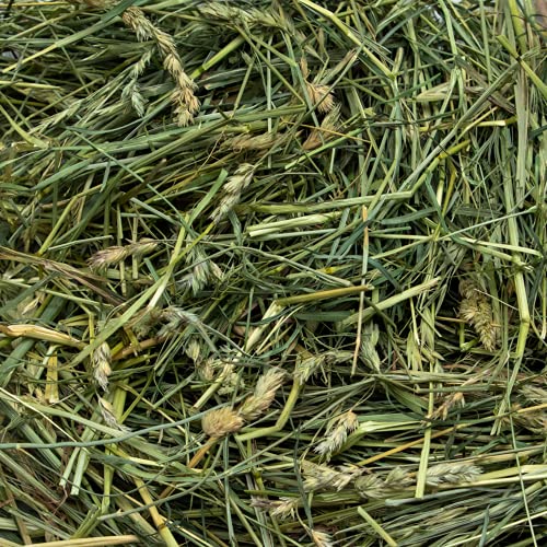 Rabbit Hole Hay Ultra Premium, Hand Packed Coarse Orchard Grass for Your Small Pet Rabbit, Chinchilla, or Guinea Pig (5lb)