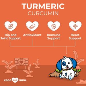 Turmeric for Dogs - Anti Inflammatory for Dogs - 300 Chewable Tablets - Curcumin and BioPerine, Antioxidant, Promotes Pet Mobility, Cardiovascular Health and Liver Health