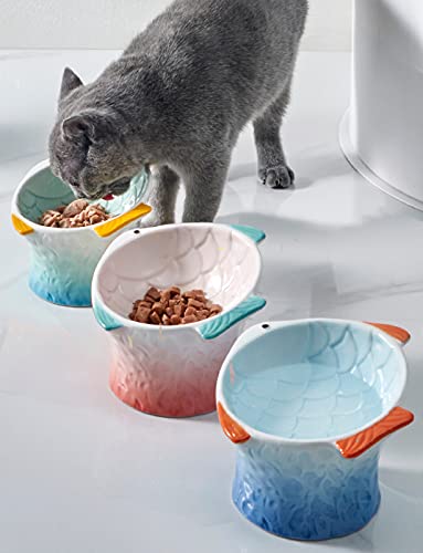 Raised Tilted Ceramic Cat Bowl - Cute Elevated Slanted Shallow Angled Cat Dish - Personalized Pet Feeder for Food Feeding - Ergonomic Anti Vomiting Whisker Fatigue - Size for Cat and Small Dog