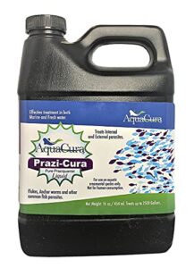 prazi-cura liquid - safest, most effective parasite treatment for koi, and aquarium fish! treats up to 2500 gallons.