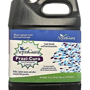 Prazi-Cura Liquid - Safest, Most Effective Parasite Treatment for Koi, and Aquarium Fish! Treats up to 2500 gallons.