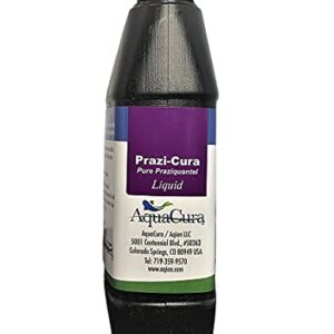 Prazi-Cura Liquid - Safest, Most Effective Parasite Treatment for Koi, and Aquarium Fish! Treats up to 2500 gallons.